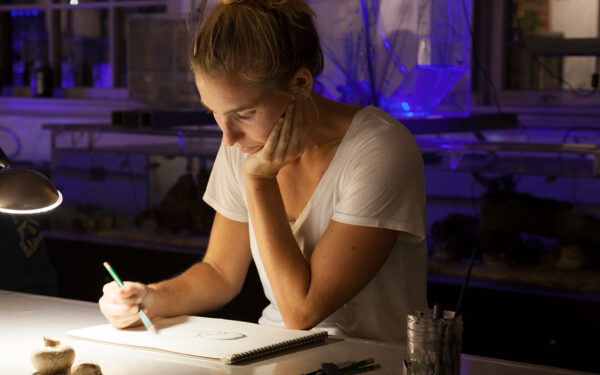 Certificate Programs - RISD Continuing Education