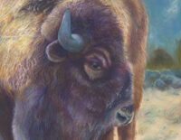 Certificate Programs - RISD Continuing Education