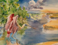 Certificate Programs - RISD Continuing Education