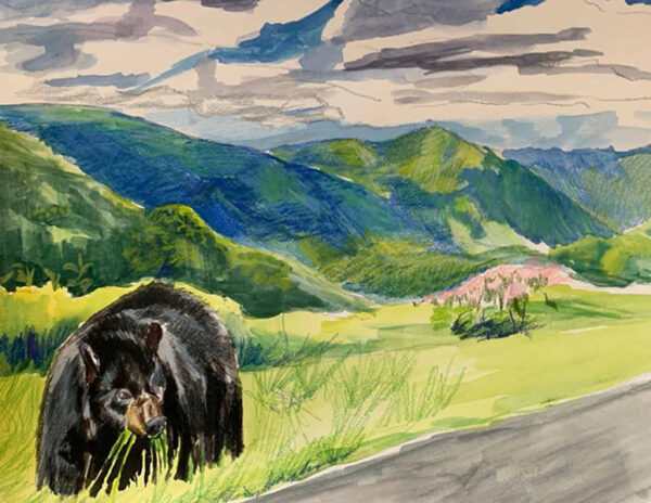 Certificate Programs - RISD Continuing Education