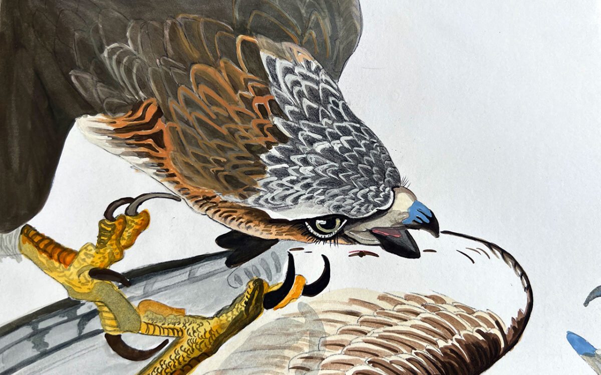 7 New Courses Start This Fall - RISD CE